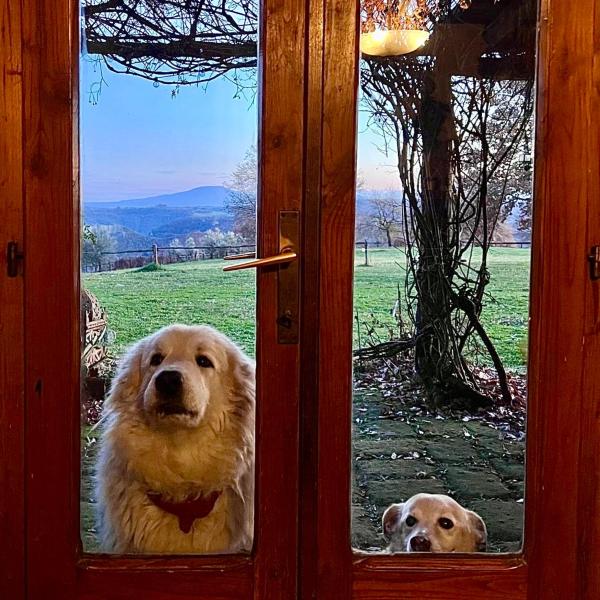 Bed And Breakfast Dopo Il Settimo Cielo - Montefiascone