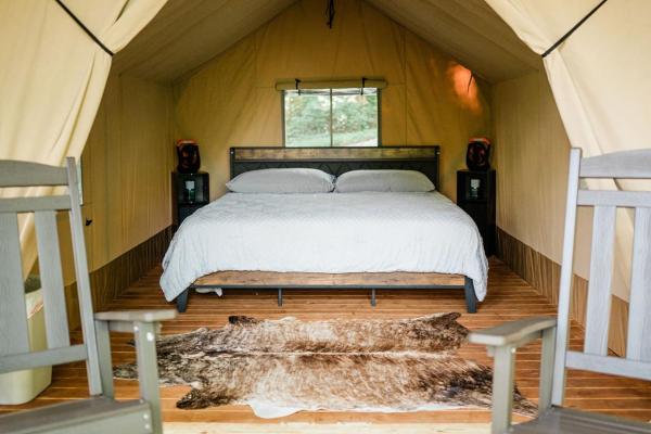 Glampknox Canvas Campground - Tree Solo - Tennessee