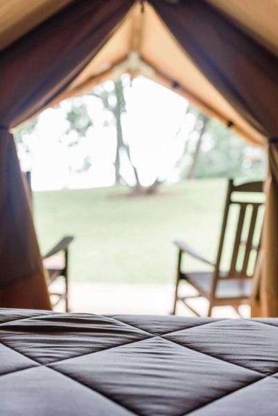 Glampknox Canvas Campground - Clare - Knoxville, TN