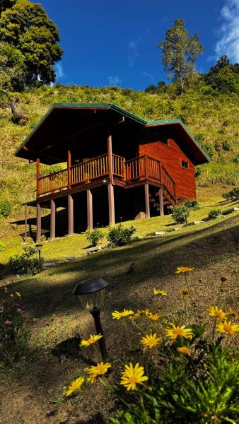 Entre ÁRboles Lodge - Costa Rica