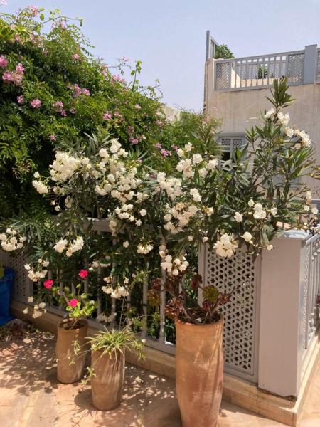 Ryad De Charme Dar Nova - Essaouira