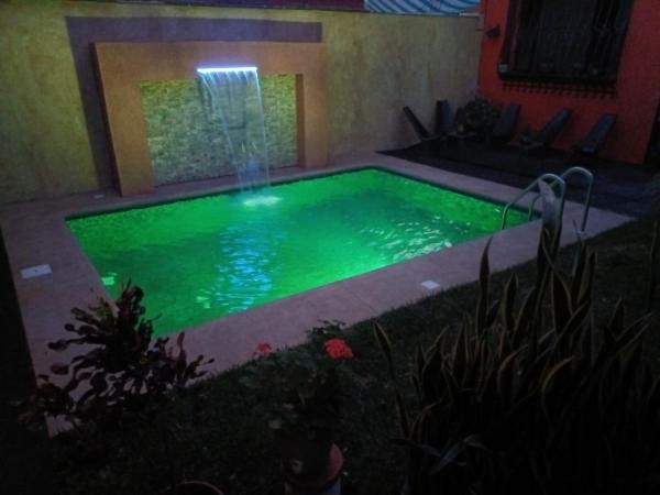 Flor De Cera - Morelos