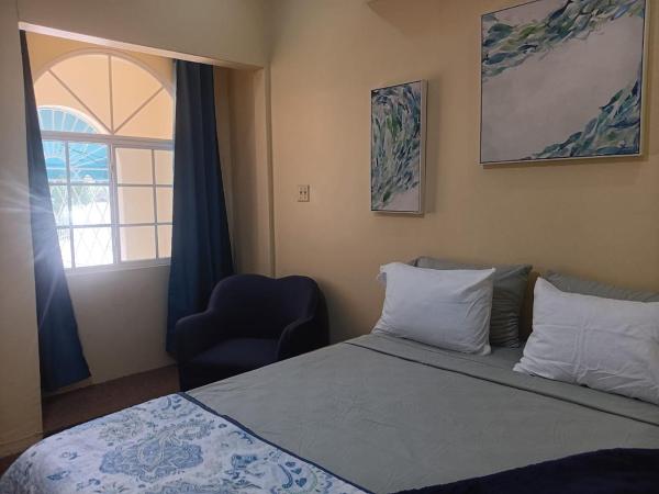 Cozy Kingston Flat - Jamaica