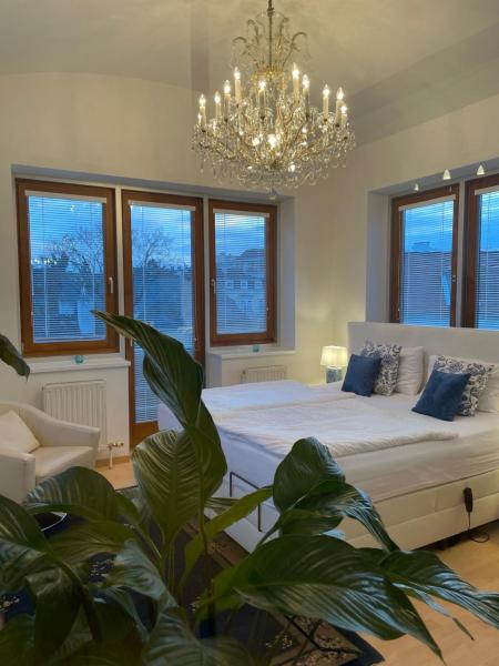 Amadeus Studio - Baden