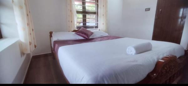 Blue Chill Villa - Coorg (Kodagu)