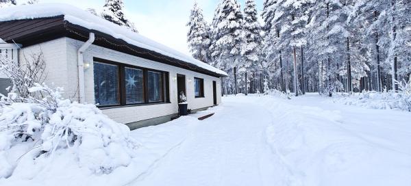 Arctic Forest Hide - Nature, Sauna & Silence - Rovaniemi