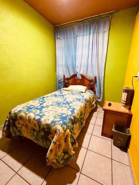 Casa Dos Arbolitos - Mexico City