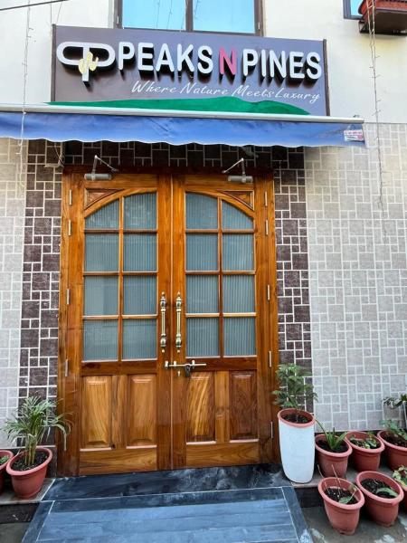Peaks N Pines - Nainital