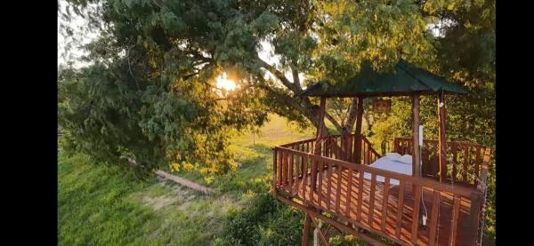 Inolvidable Y Algo Más - Chaco