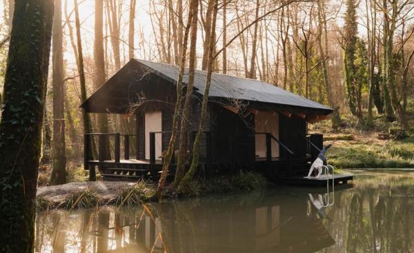 Yogi's Cabin - Battle