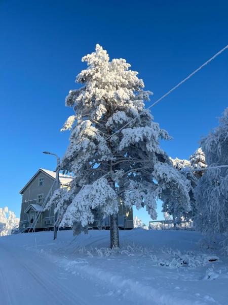 Staycation Törrö Kirkkoväärti As 7 - Pudasjärvi