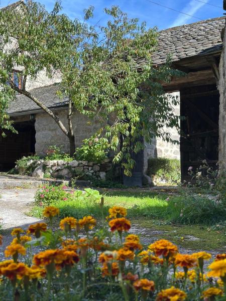 Le Gite De La Ferme D Issac - Estaing