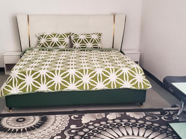 Spacious 5br Duplex Apartment At Bole - Addis Ababa