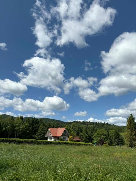 Stara Jabłoń Dom W Bieszczadach - Wetlina