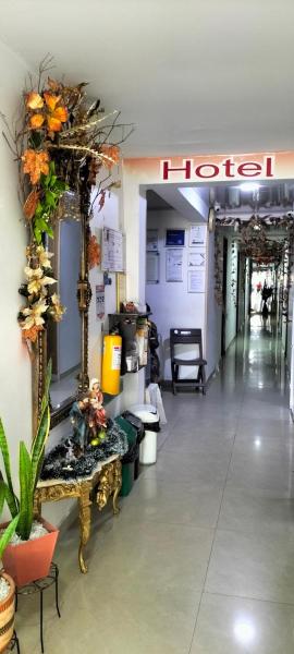 Hotel Plaza Centro - Florencia