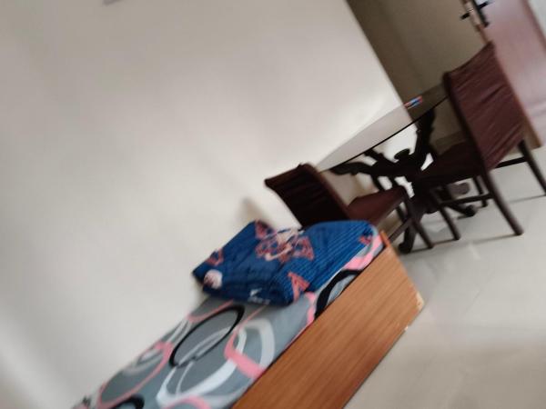 Punawale Tathwade 1bhk - Pune