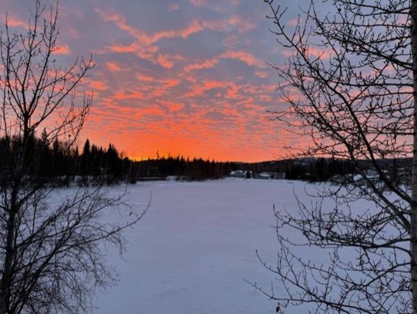 Executive Retreat - Modern & Relaxing - 페어뱅크스