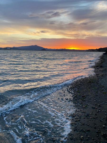 Modern 2 Br 2ba Biz Friendly Duplex With Fast Wi-fi And Workspaces - El Cerrito, CA