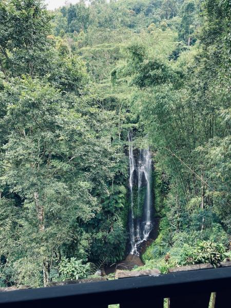 Munduk Tutub Waterfall View Guest House - Munduk