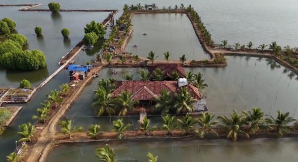 Kandal Theeram Farms - Kollam
