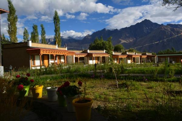 The Walnut Inn Resort - Nubra Valley