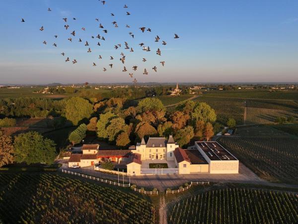 Château Moncets - Saint-Émilion
