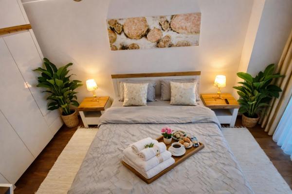 Ultracentral Lazar Loft- Free Private Parking - Iași