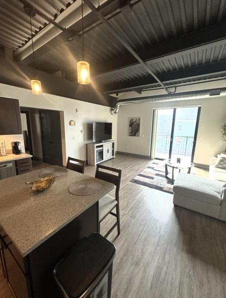 203 - New Luxury Downtown Condo - Kalamazoo, MI