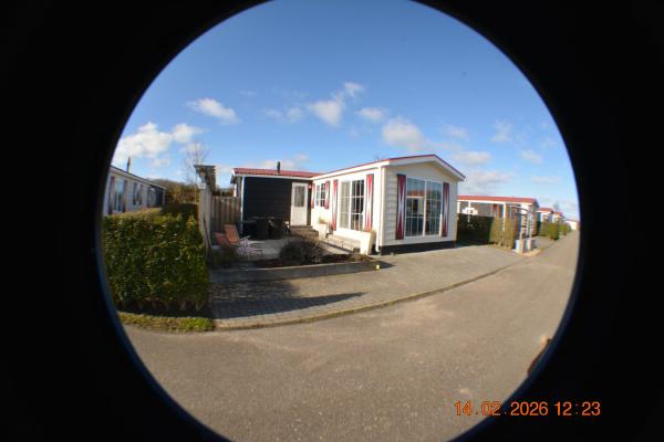 Zeemeeuw - Platz 31, Olmenduin - Breezand