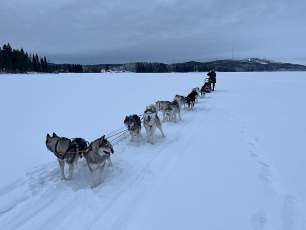 Juurikkalahti Adventure Center - Kainuu