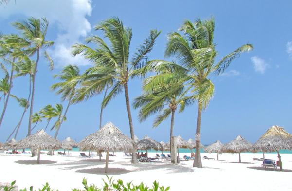 Apartment 1bdr 1bth - Punta Cana