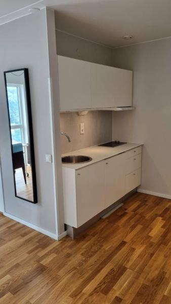 Tellus Apartment - Lund