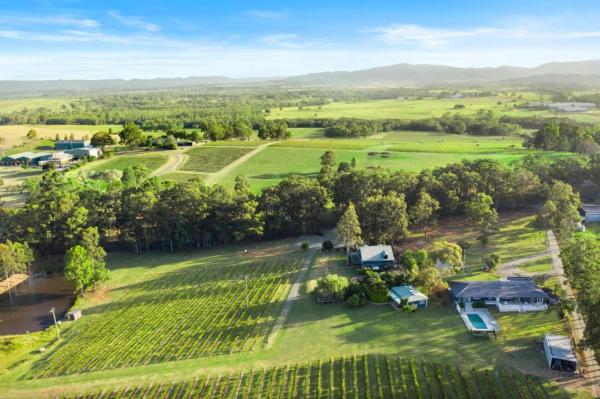Palmers Lane Vineyard Homestead And Cottage - Hunter Region