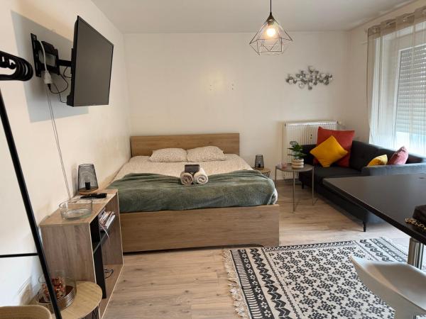 Joli Studio A Euroairport-basel-mulhouse-freiburg - Basilea