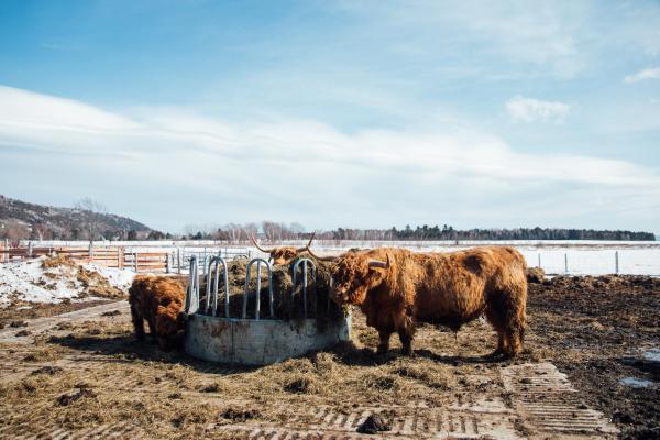 Hôtel & Spa Le Germain Charlevoix - Charlevoix