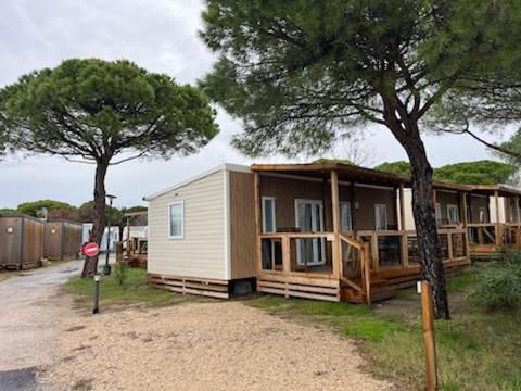 Mobil-home Camping La Marine 4 éToiles Le Grau Du Roi - Port Camargue