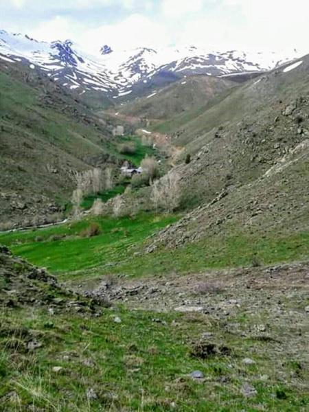 ÇAkıroğlu Beyler ÇIfliği - Rize