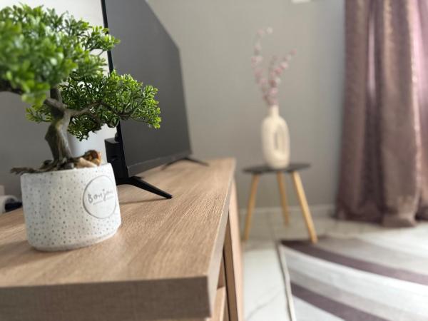 Elephant Cove - Botswana