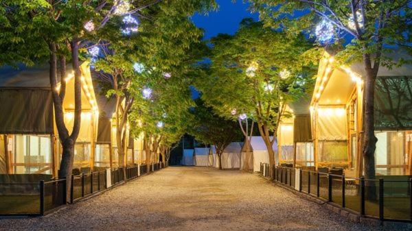 Gapyeong High Mong Glamping & Camping - 광주시