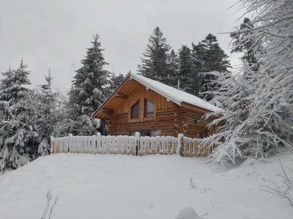 Les Rondins Du Bois D'eden - Chalet 8p - Lac Blanc
