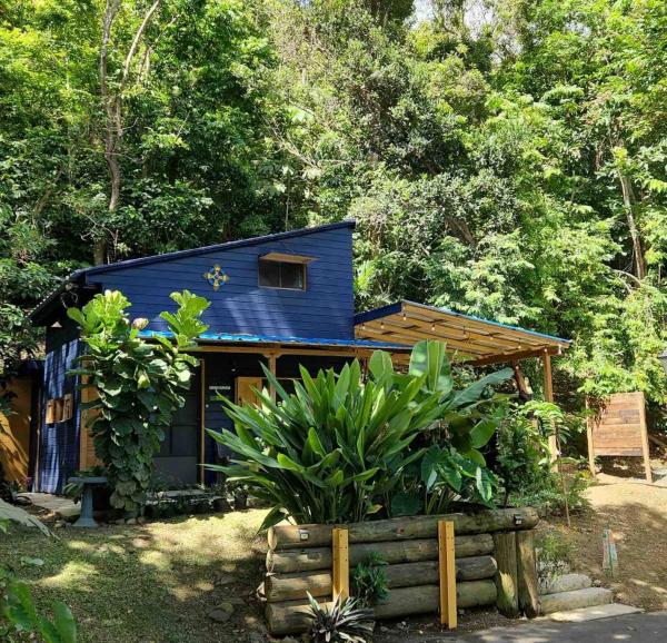 Tiny Cozy Mountain Cabin Peaceful Retreat In Cayey - Caguas