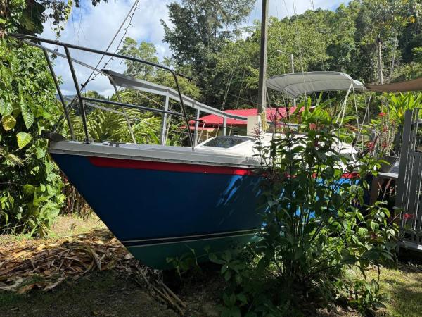 Cozy Sailboat At The Montains With Air Conditioned - Cidra