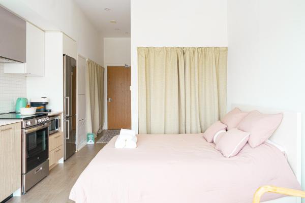 Renovated Suite - Steps From Eaton Centre, Nathan Phillips Sq, And Kensington Market - Toronto