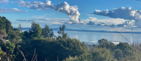 Fantail Hill - Thames