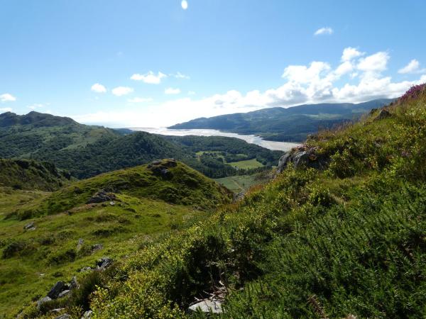 Abergwynant Farm Holidays With Bbq Hut Available To Hire - North Wales