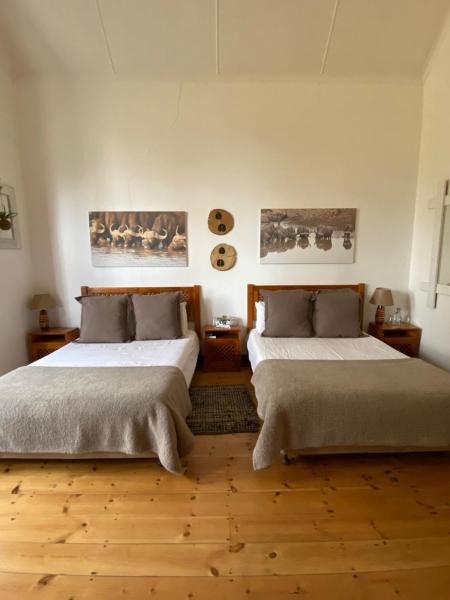 Mondesir Estate - Hilton