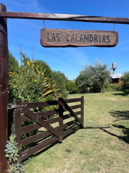 Las Calandrias - Miramar