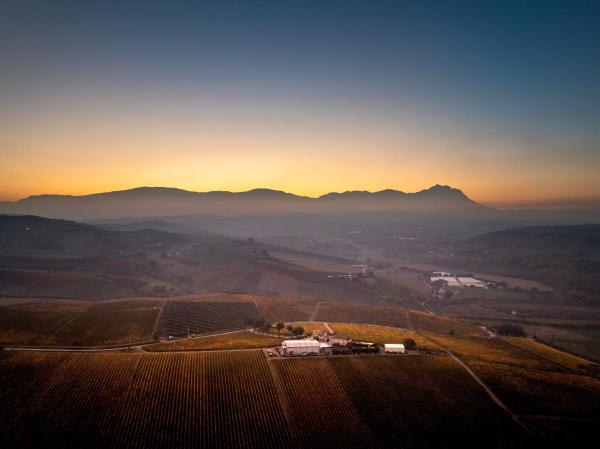 Masseria Del Vino - Ciavolich Wine Relais - Abruzzo
