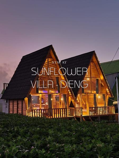 Sunflower Villa Dieng - Dieng