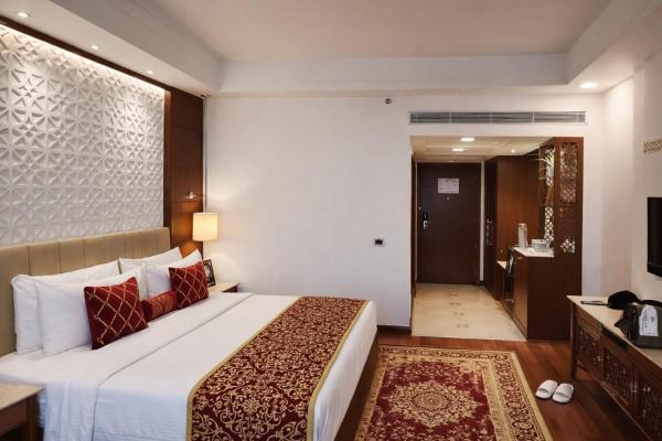Hotel Royal Infinity Near Delhi Airport - New Delhi